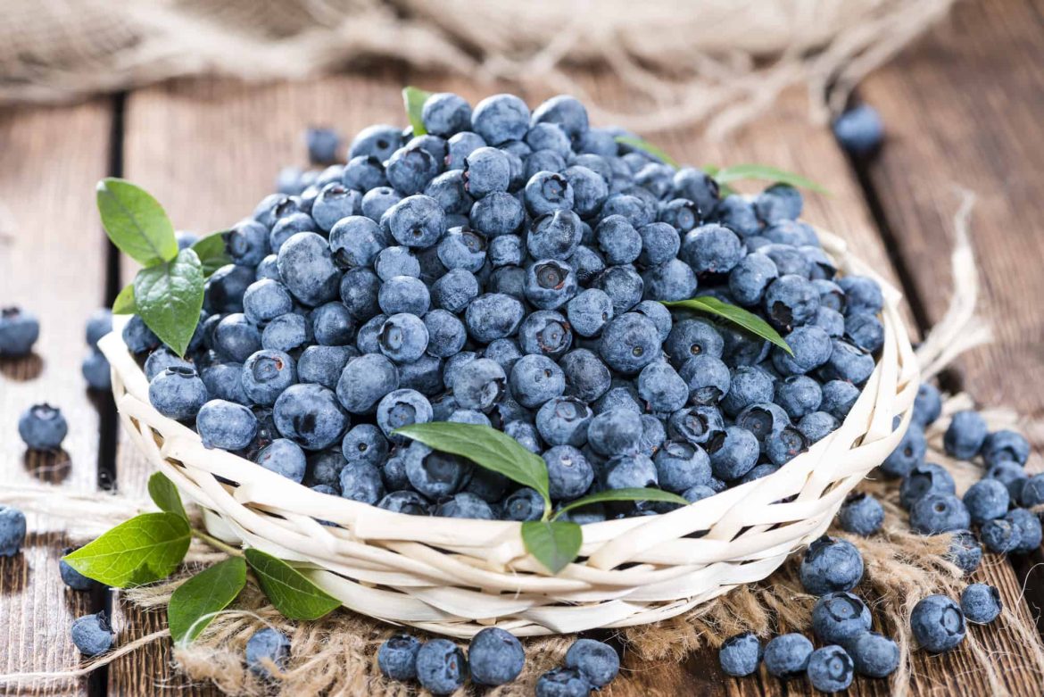 What Does the Inside of a Blueberry Look Like? [With Pics] - Cuisine Seeker
