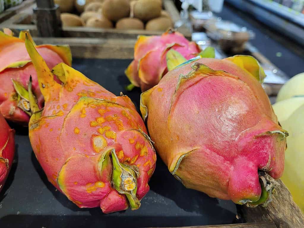 Types of Spiny Fruits: List of Spiny Fruit Names Worldwide - Cuisine Seeker
