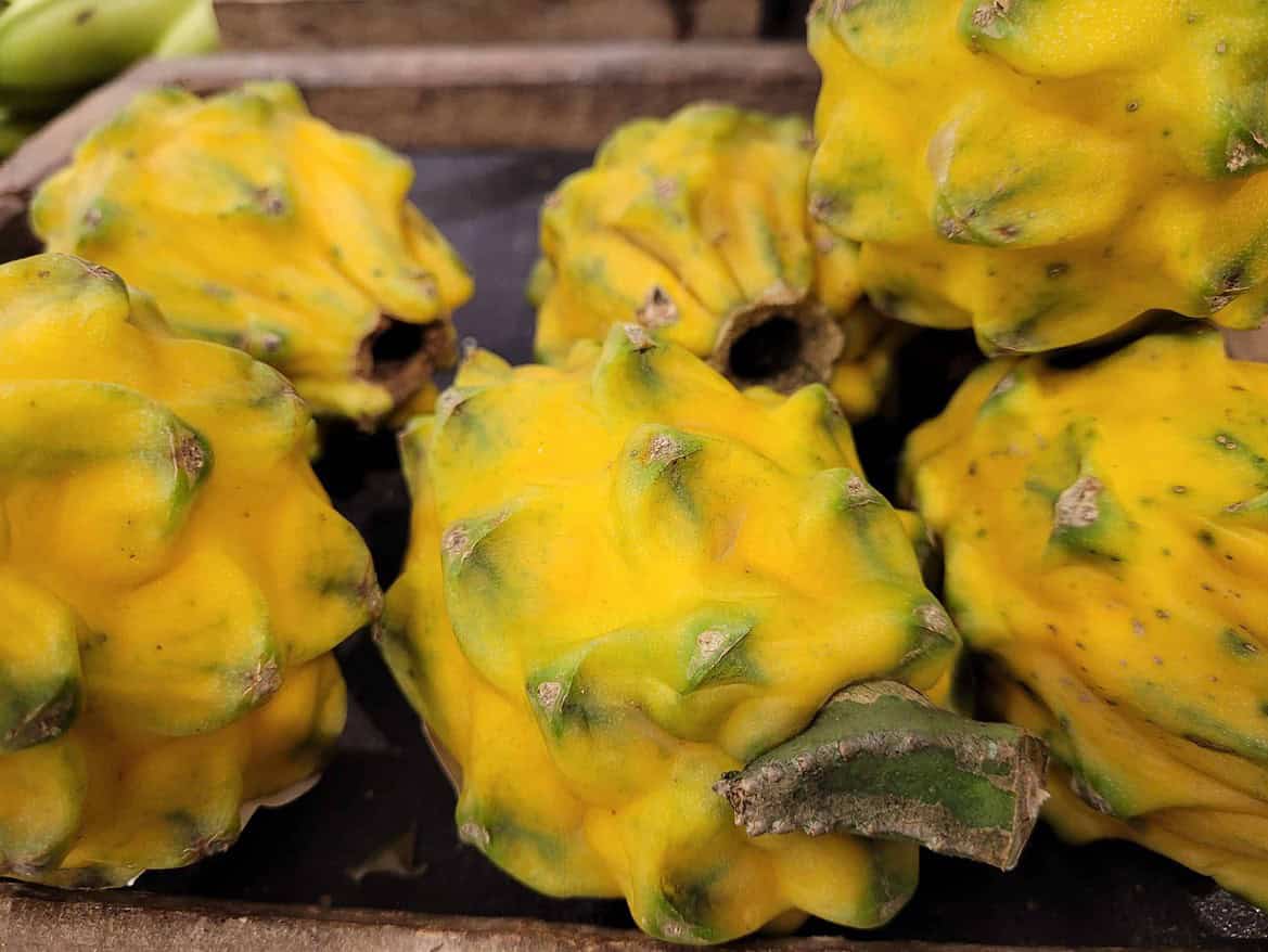 11 Spiny Fruits Found Around the World - Cuisine Seeker