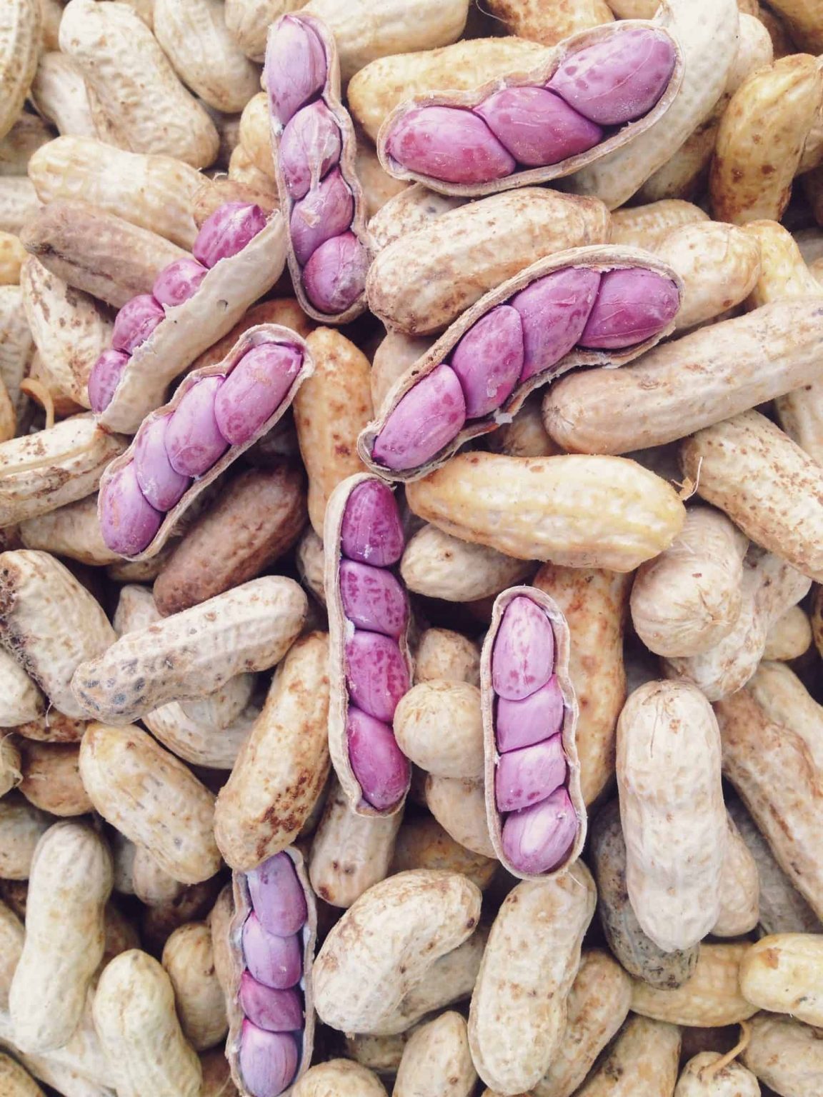 Can Peanuts Give You Gas or Bloating? Here's Why - Cuisine Seeker