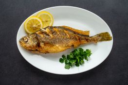 Croaker Fish: What Do They Taste Like? - Cuisine Seeker